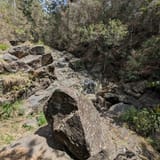 Mt Coot-tha Summit Track, Queensland, Australia - 409 Reviews, Map ...