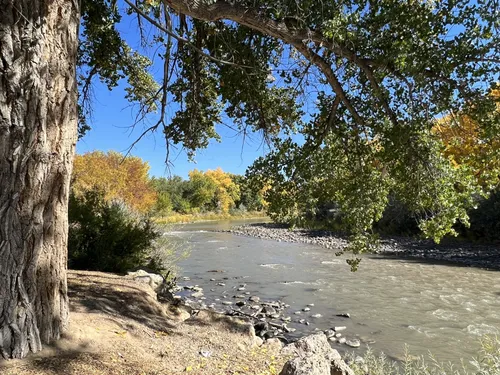Best Hikes and Trails in Berg Park Loop | AllTrails