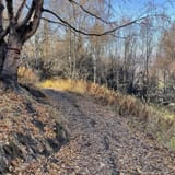 Bodenburg Butte via West Butte Trail, Alaska - 1,253 Reviews, Map ...