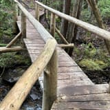 Little Harbor Brook Trail, Maine - 166 Reviews, Map | AllTrails