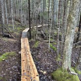 Little Harbor Brook Trail, Maine - 166 Reviews, Map | AllTrails