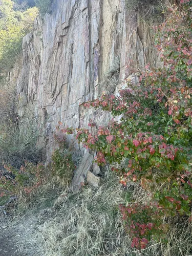 Best Hikes and Trails in Julian County Park | AllTrails