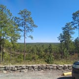 Longleaf Vista Interpretive Trail, Louisiana - 280 Reviews, Map | AllTrails