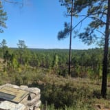 Longleaf Vista Interpretive Trail, Louisiana - 280 Reviews, Map | AllTrails
