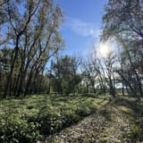 Farmdale Recreation Area Trail, Illinois - 969 Reviews, Map | AllTrails