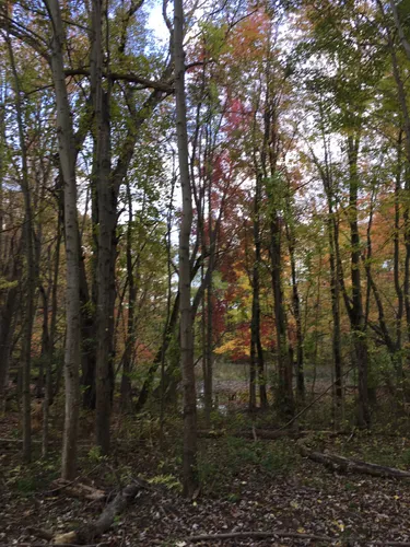 Best Hikes and Trails in Addison Oaks County Park | AllTrails