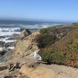 Bodega Head Trail, California - 1,620 Reviews, Map | AllTrails
