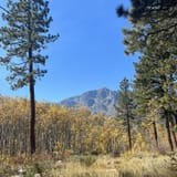 Taylor Creek Loop, California - 420 Reviews, Map | AllTrails