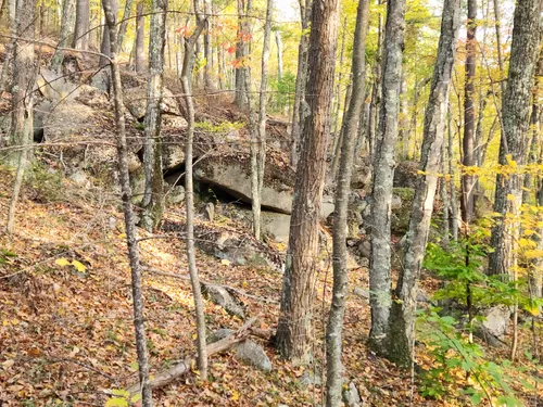 Best 10 Hikes and Trails in Bear Brook State Park | AllTrails