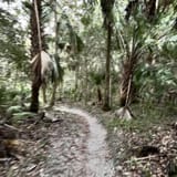 Doris Leeper Trail, Florida - 486 Reviews, Map | AllTrails