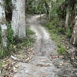 Doris Leeper Trail, Florida - 486 Reviews, Map | AllTrails