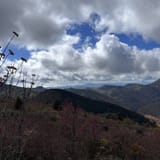 Sam's Knob and Little Sam Loop, North Carolina - 506 Reviews, Map ...