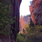 Spring Creek Canyon, Utah - 1,147 Reviews, Map | AllTrails