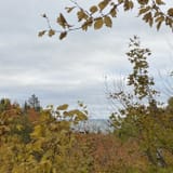 Sable Falls Trail, Michigan - 494 Reviews, Map | AllTrails