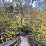 Sable Falls Trail, Michigan - 554 Reviews, Map | AllTrails