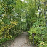 Sable Falls Trail, Michigan - 592 Reviews, Map | AllTrails