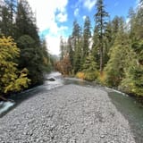 Staircase Rapids Loop, Washington - 2,343 Reviews, Map | AllTrails