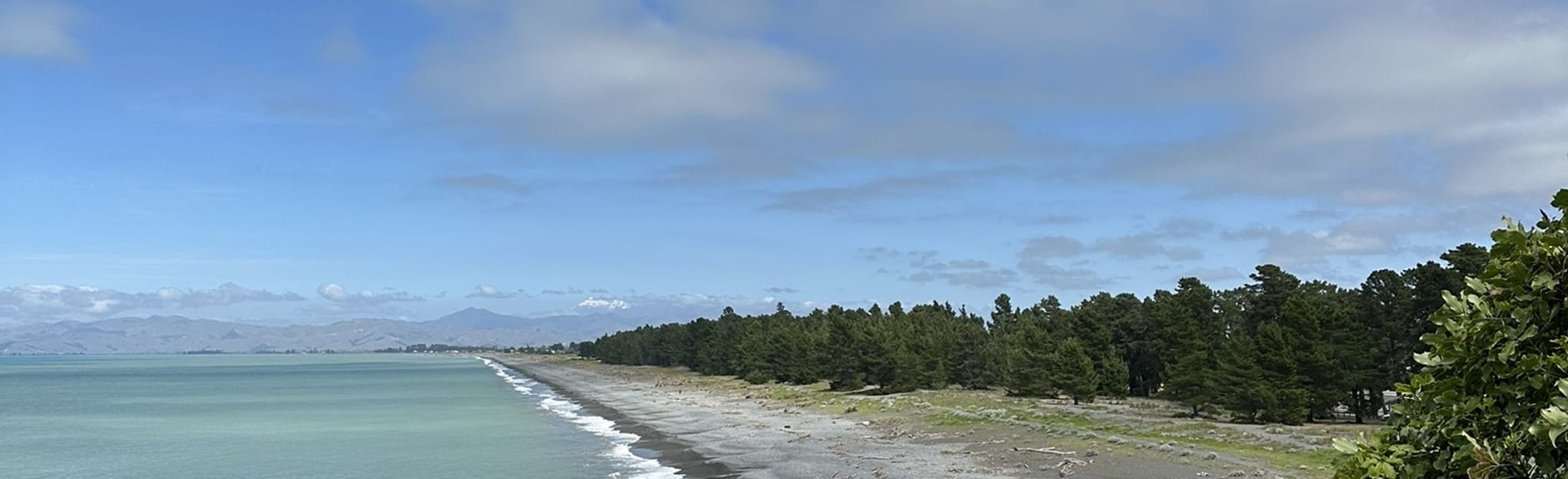 Monkey Bay Walk, Marlborough, New Zealand - 11 Reviews, Map | AllTrails