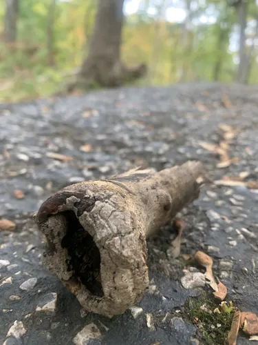 Best Hikes and Trails in Powder Valley Conservation Nature Center ...