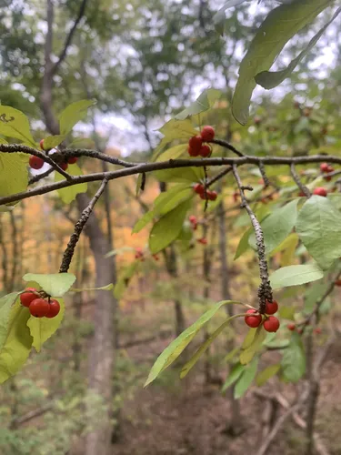 Best Hikes and Trails in Powder Valley Conservation Nature Center ...