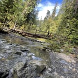 Staircase Rapids Loop, Washington - 2,343 Reviews, Map | AllTrails
