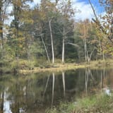 Crane Lake Trail, Missouri - 138 Reviews, Map | AllTrails