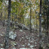 Crane Lake Trail, Missouri - 117 Reviews, Map | AllTrails