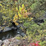 Crane Lake Trail, Missouri - 138 Reviews, Map | AllTrails