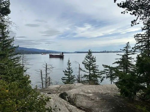 Best Hikes and Trails in Lighthouse Park | AllTrails