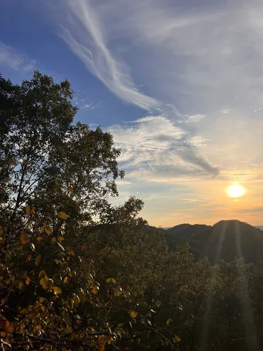 Best Hikes and Trails in Knobs State Forest | AllTrails