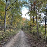 Crane Lake Trail, Missouri - 138 Reviews, Map | AllTrails