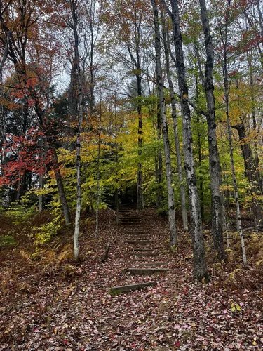 Best Hikes and Trails in Old Mill Park | AllTrails