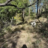 Ruidoso River Walk, New Mexico - 62 Reviews, Map | AllTrails