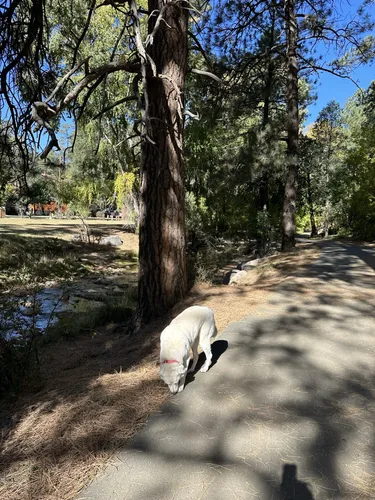 Best Hikes and Trails in Two Rivers Park | AllTrails