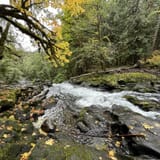Kalama Falls Trail, Washington - 516 Reviews, Map | AllTrails