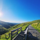 Rapaki Track, Canterbury, New Zealand - 517 Reviews, Map | AllTrails