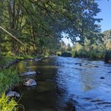 Link River Trail, Oregon - 480 Reviews, Map | AllTrails