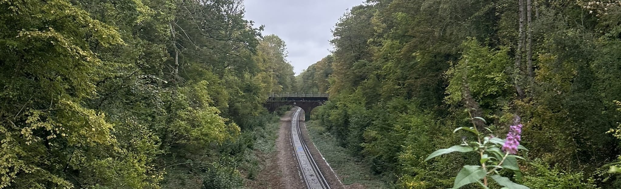 The Deviation Line, Hampshire, England - 27 Reviews, Map | AllTrails