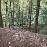 Contoocook River Trail, New Hampshire - 125 Reviews, Map | AllTrails