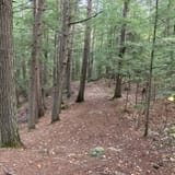 Contoocook River Trail, New Hampshire - 125 Reviews, Map | AllTrails
