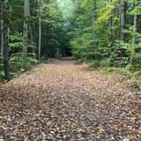 Contoocook River Trail, New Hampshire - 125 Reviews, Map | AllTrails