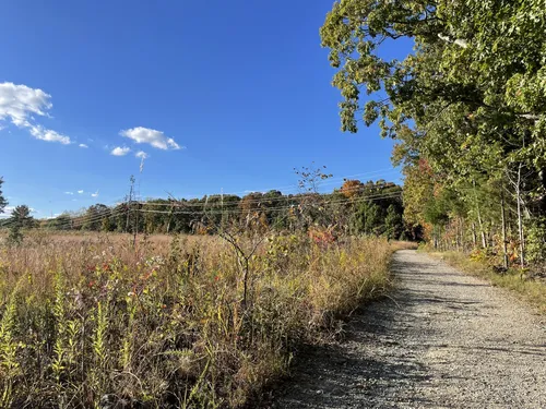 10 Best Lake Trails in Latta Nature Preserve | AllTrails