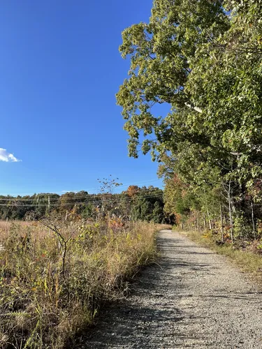 10 Best Hikes and Trails in Latta Nature Preserve | AllTrails