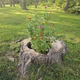 Walnut Grove Park Loop, Nebraska - 91 Reviews, Map | AllTrails