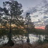 Lake Parker Park, Florida - 366 Reviews, Map | AllTrails