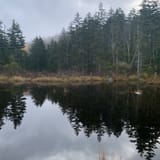 Zealand Bonds Traverse, New Hampshire - 665 Reviews, Map | AllTrails