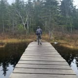 Zealand Bonds Traverse, New Hampshire - 742 Reviews, Map | AllTrails