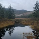 Zealand Bonds Traverse, New Hampshire - 678 Reviews, Map | AllTrails