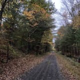 Southern New England Trunkline Trail, Massachusetts - 440 Reviews, Map ...