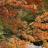 Southern New England Trunkline Trail, Massachusetts - 440 Reviews, Map ...